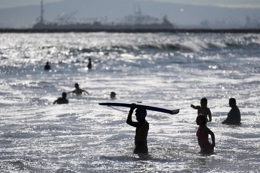 Stingray injuries spike at popular Southern California beach