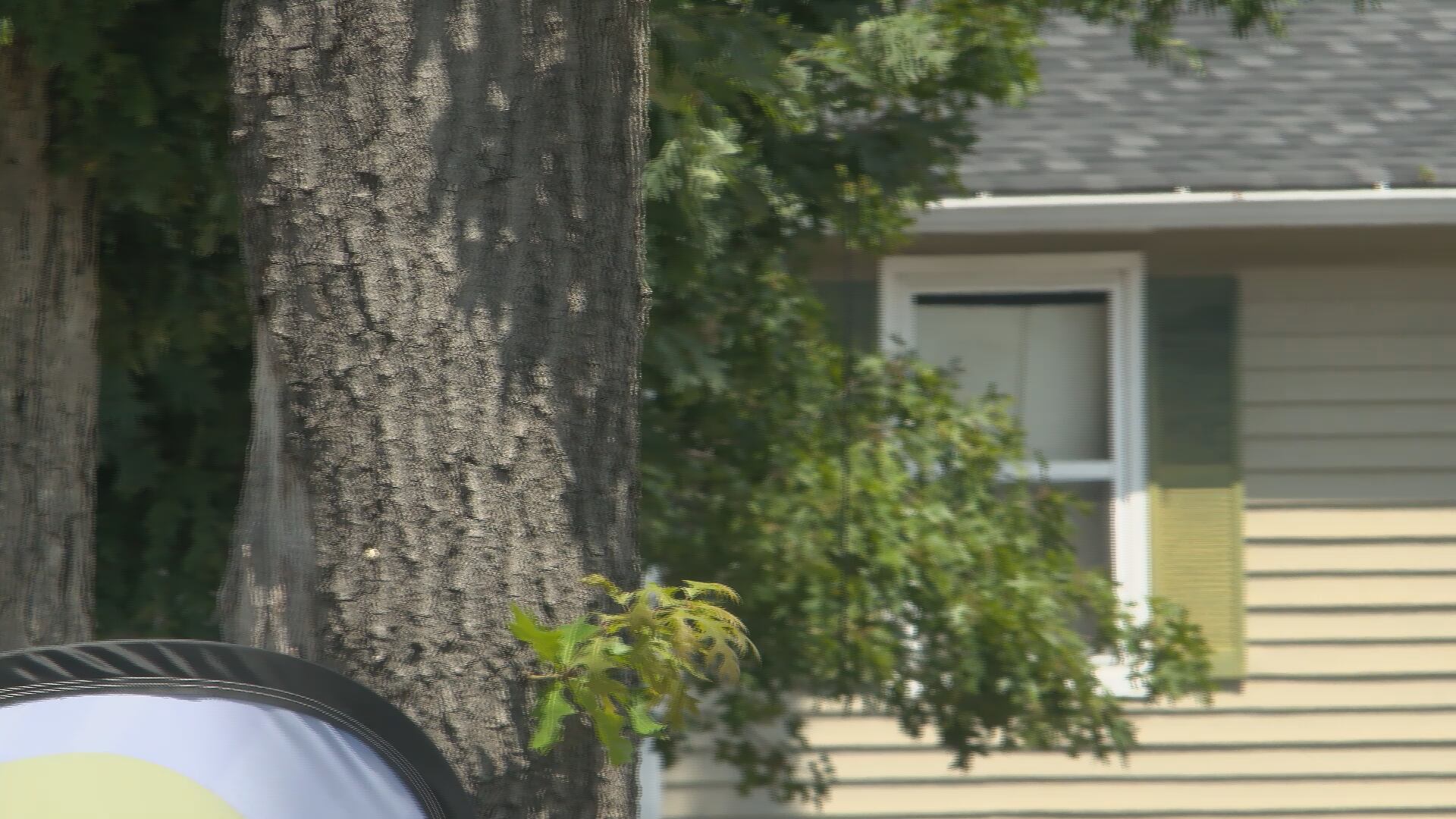 Richmond woman says ICE took her son: ‘No one helped me’