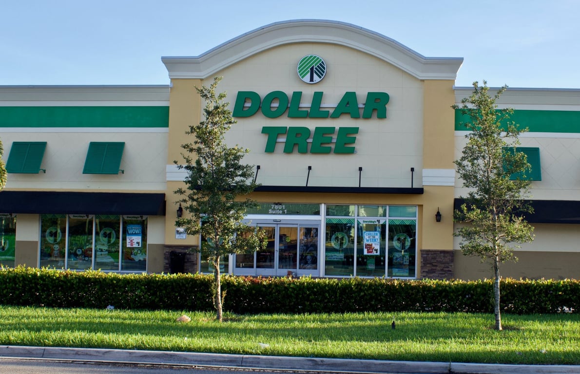 8 things to buy at Dollar Tree for the summer