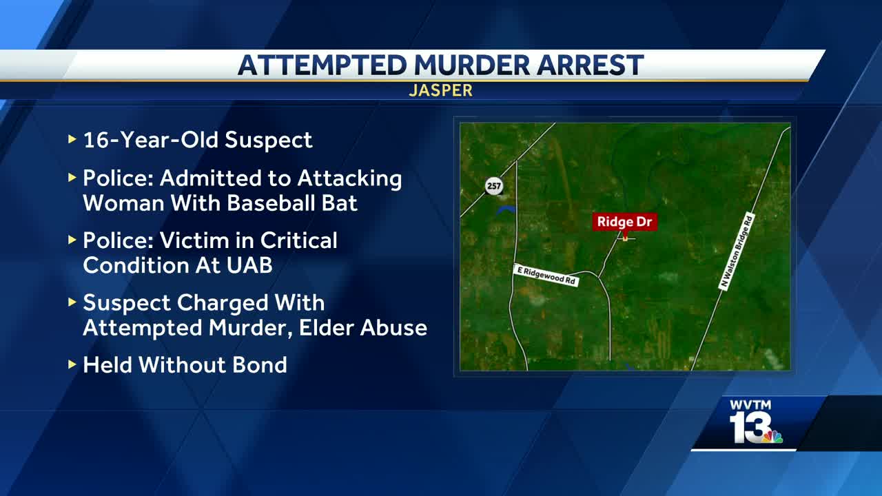 Woman in critical condition after baseball bat attack in Jasper