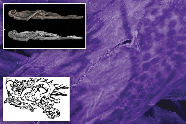 Wild tattoos of 2,500-year-old Siberian ‘ice mummy’ revealed for first time