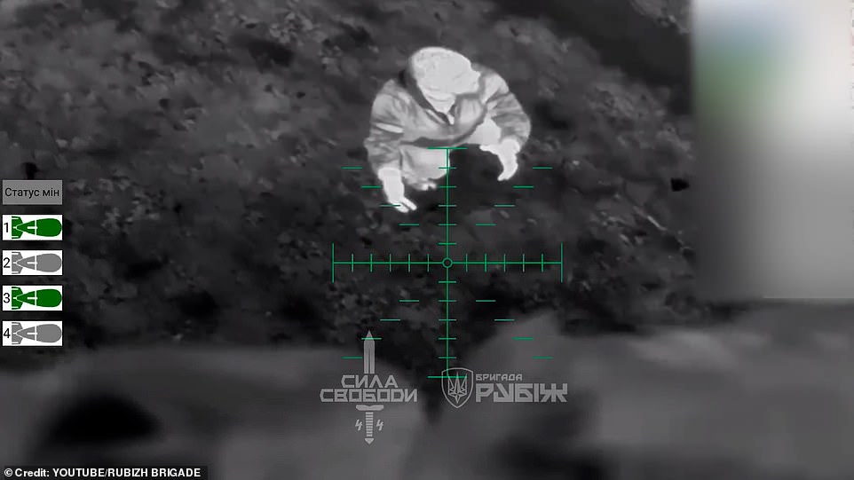 Zoolies by Jonny Hawkins