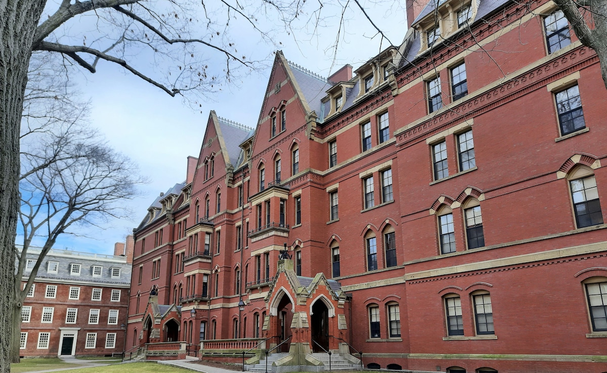 Harvard announces 6 free online courses in AI, web development ...