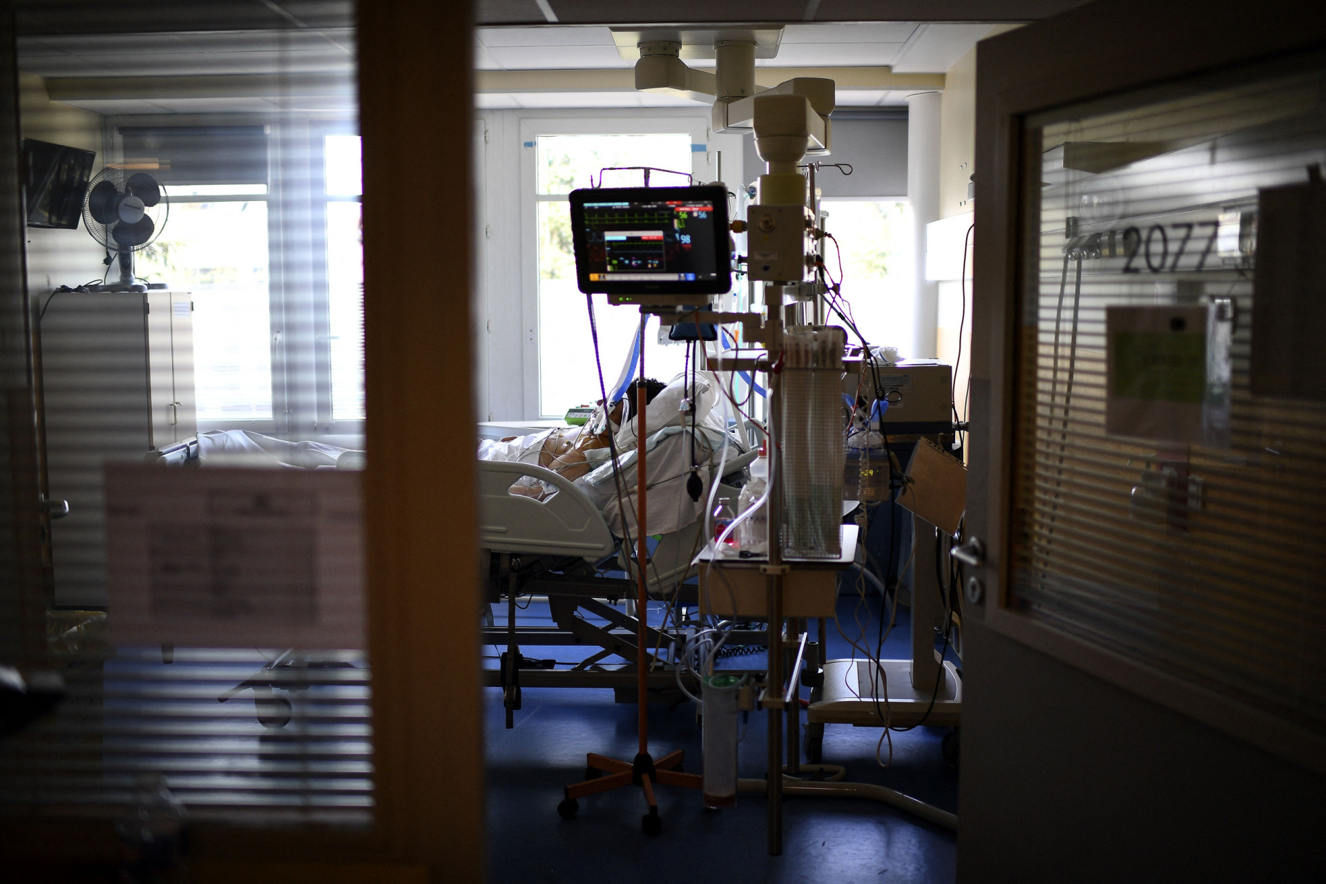 Personas que volvieron del coma con nuevas habilidades