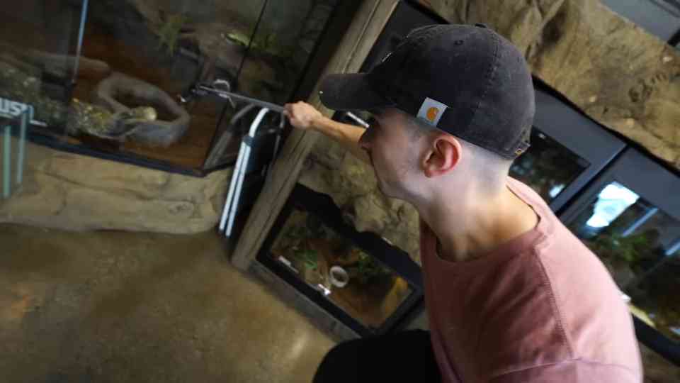 Big Improvements At The Reptile Zoo!