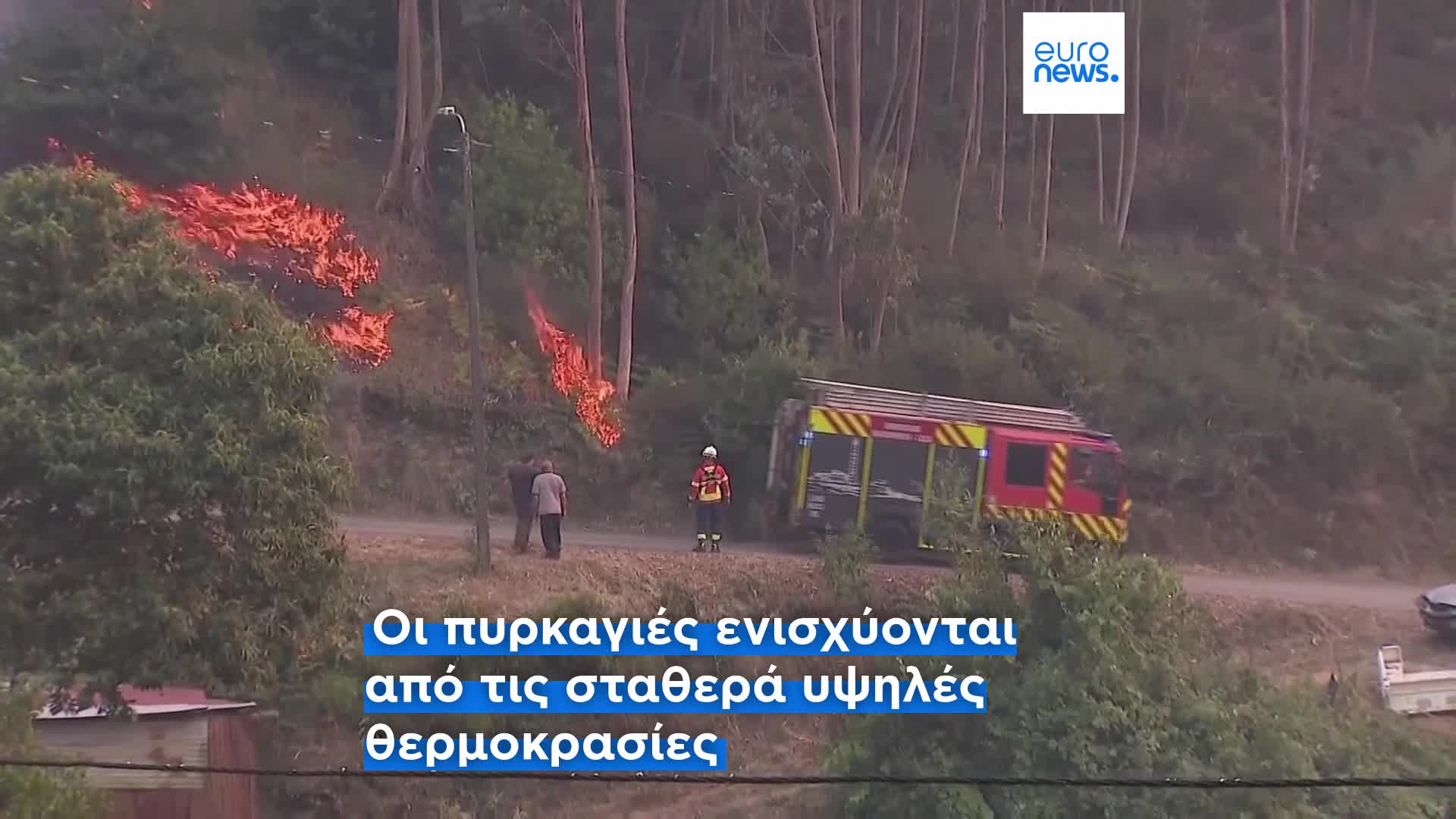 Πυρκαγιές και καύσωνας καίνε την Πορτογαλία- Τεράστια οικολογική καταστροφή
