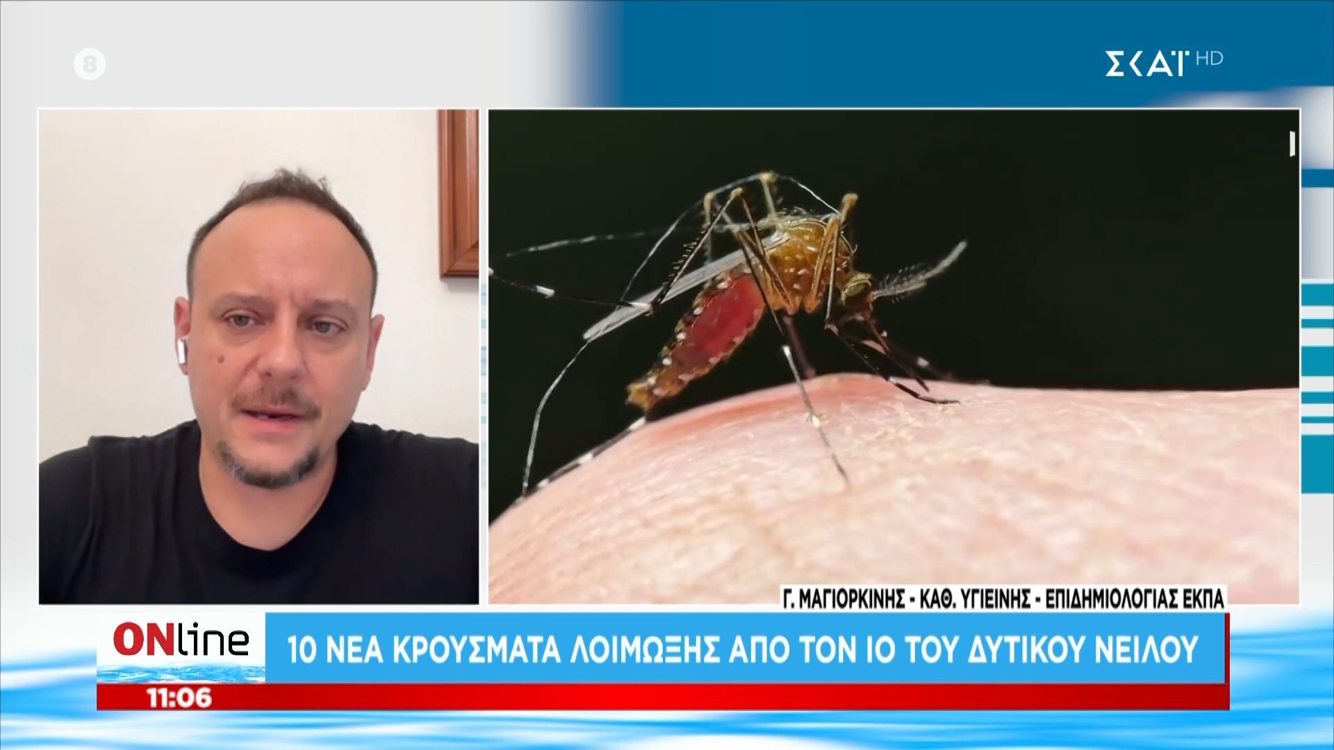 Γκ. Μαγιορκίνης για ιό Δυτ. Νείλου: «Δεν μπορεί να μεταφερθεί από ...
