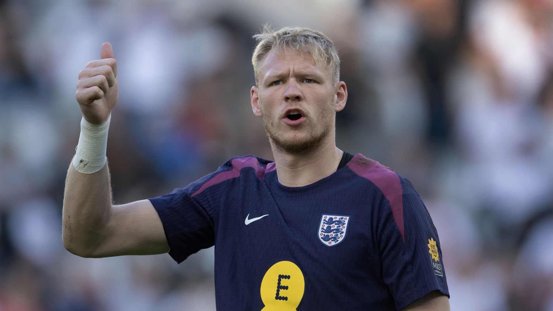 Newcastle sign Southampton goalie Aaron Ramsdale on loan