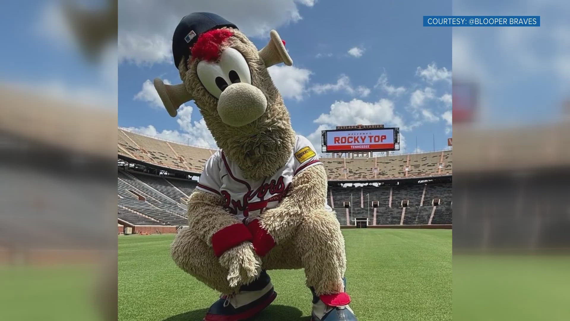 Braves' mascot Blooper takes a trip to 'Rocky Blop' ahead of first-ever ...