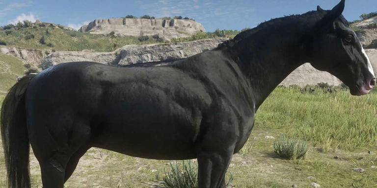All 19 Red Dead Redemption 2 Horses, Ranked From Worst To Best