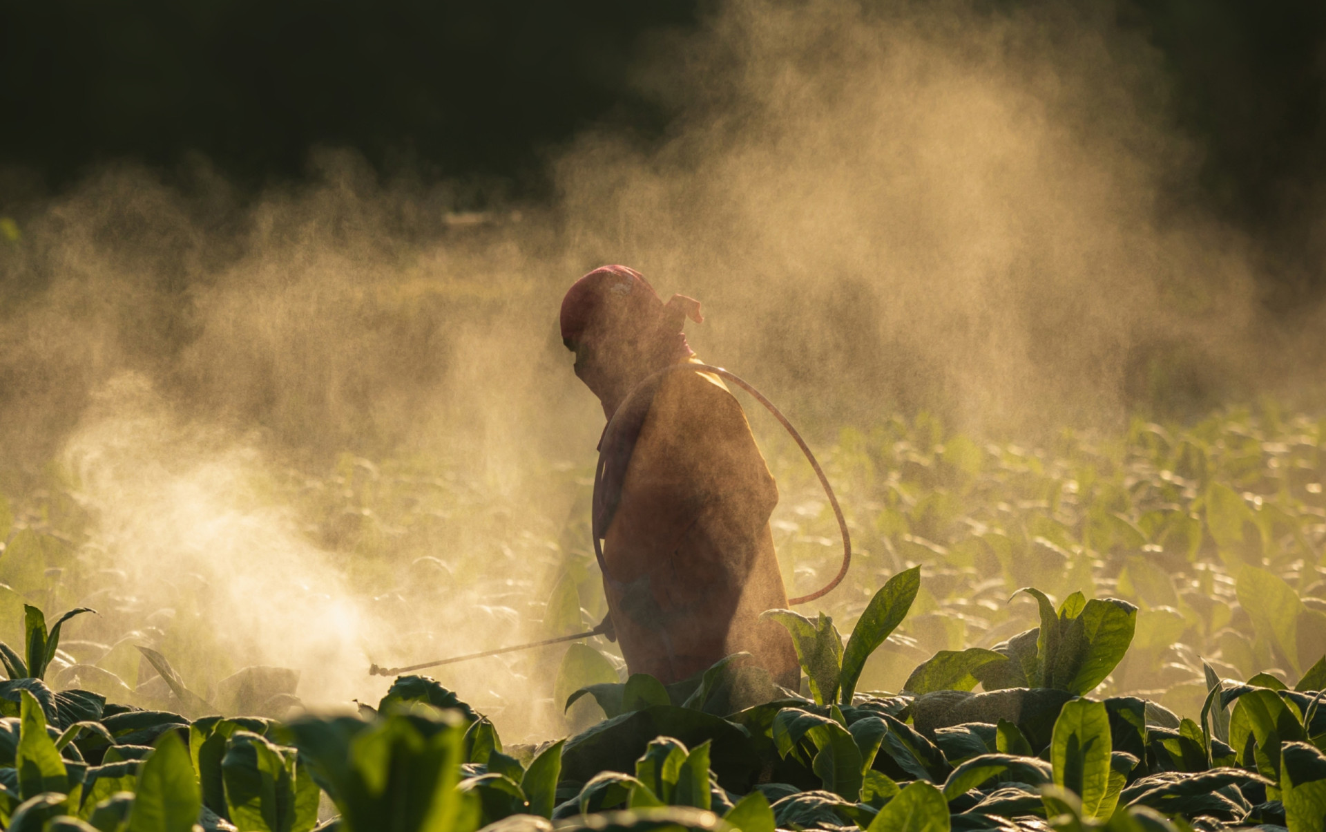 Americké státy nejvíce ohrožené „tichou otravou“