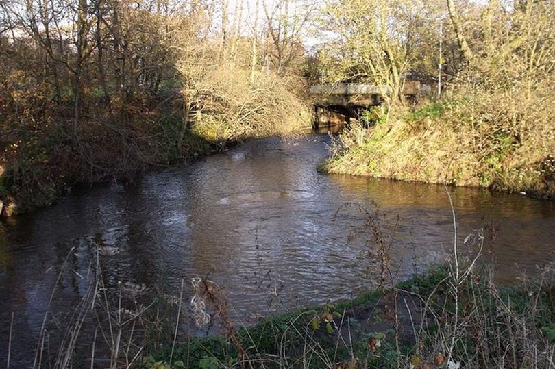 Warning issued after 150 fish found dead in Cumbernauld waters as SEPA ...