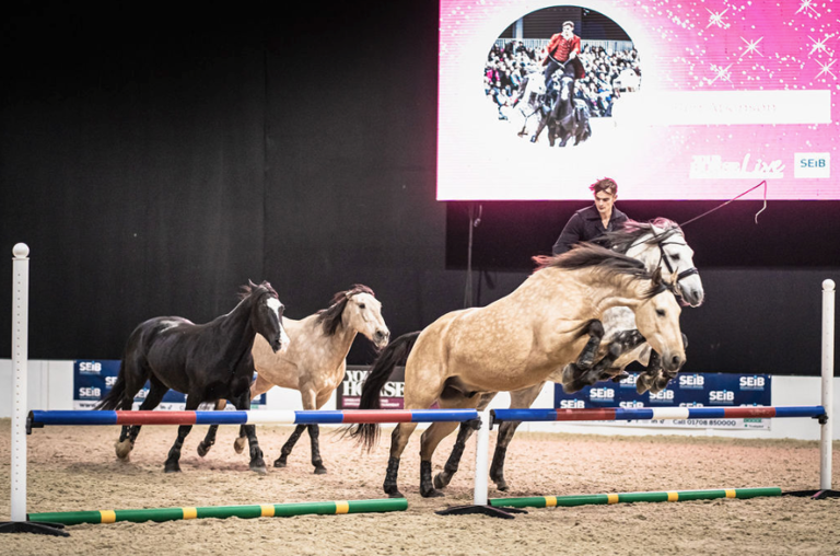 This is the main arena line up for Your Horse Live — it’s going to be a ...