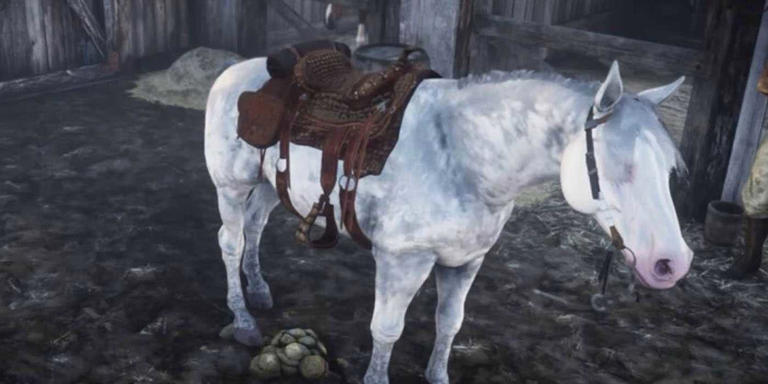 All 19 Red Dead Redemption 2 Horses, Ranked From Worst To Best