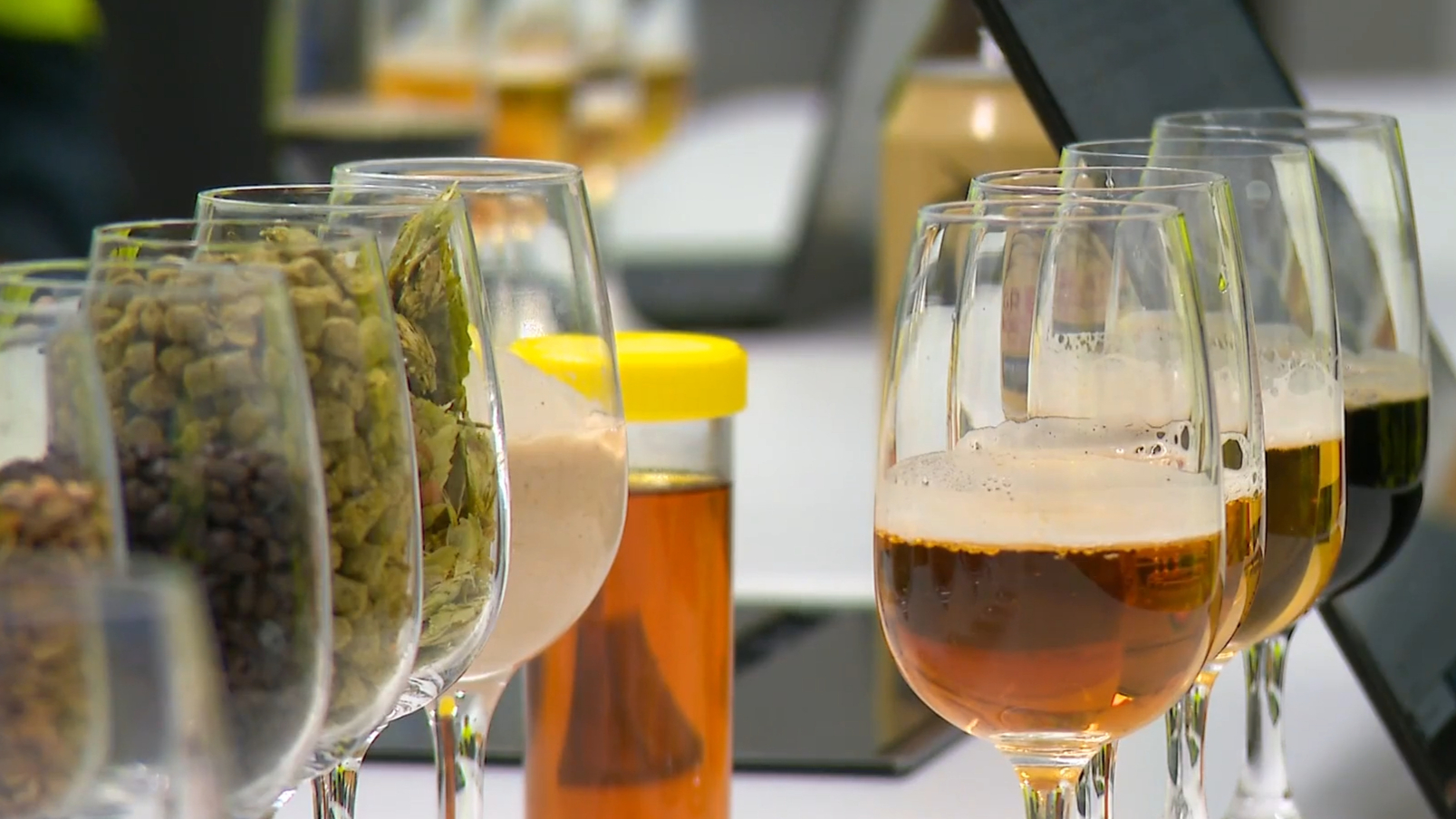 Australian brewer on the hunt for new chief beer taster