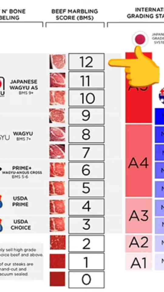 USDA Prime vs Wagyu Beef – Part 2