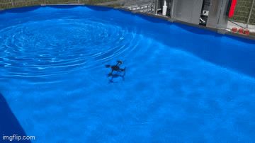 Electronics Students 3D-Print Drone That Can Fly and Swim