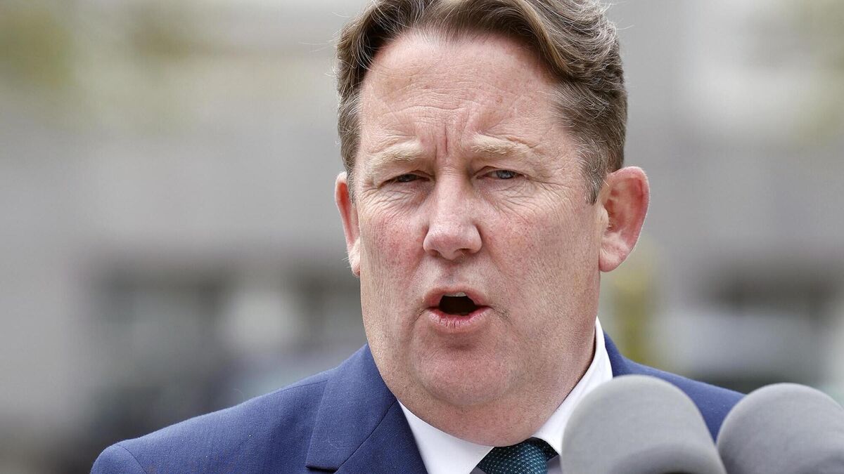 O’Brien wants lower 9% VAT rate on electricity and gas extended to 2026