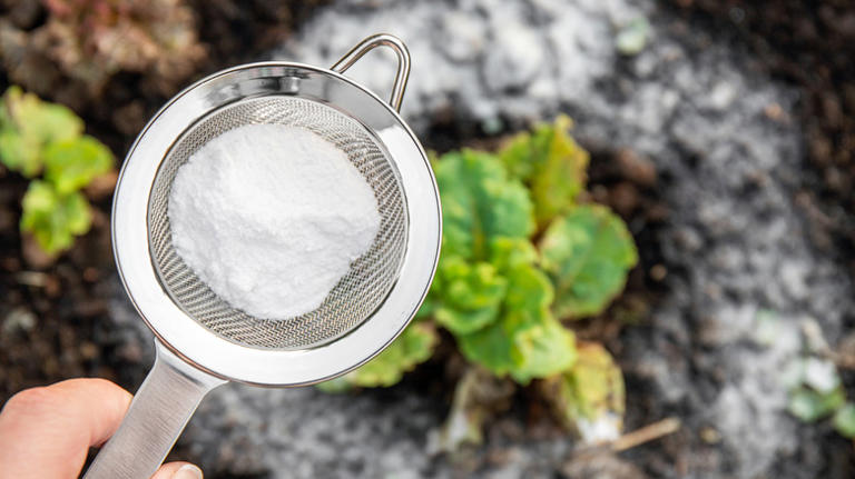 This Household Ingredient Can Kill Crabgrass, But Is It A Good Idea?