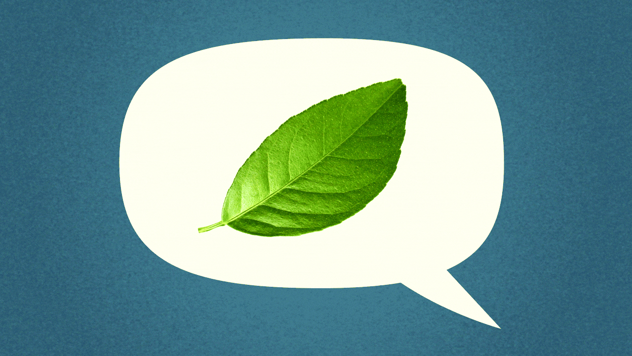 Democrats retreat on the Green New Deal