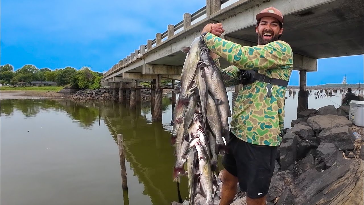 Bridge catfish smackdown in draining lake before harvest deadline