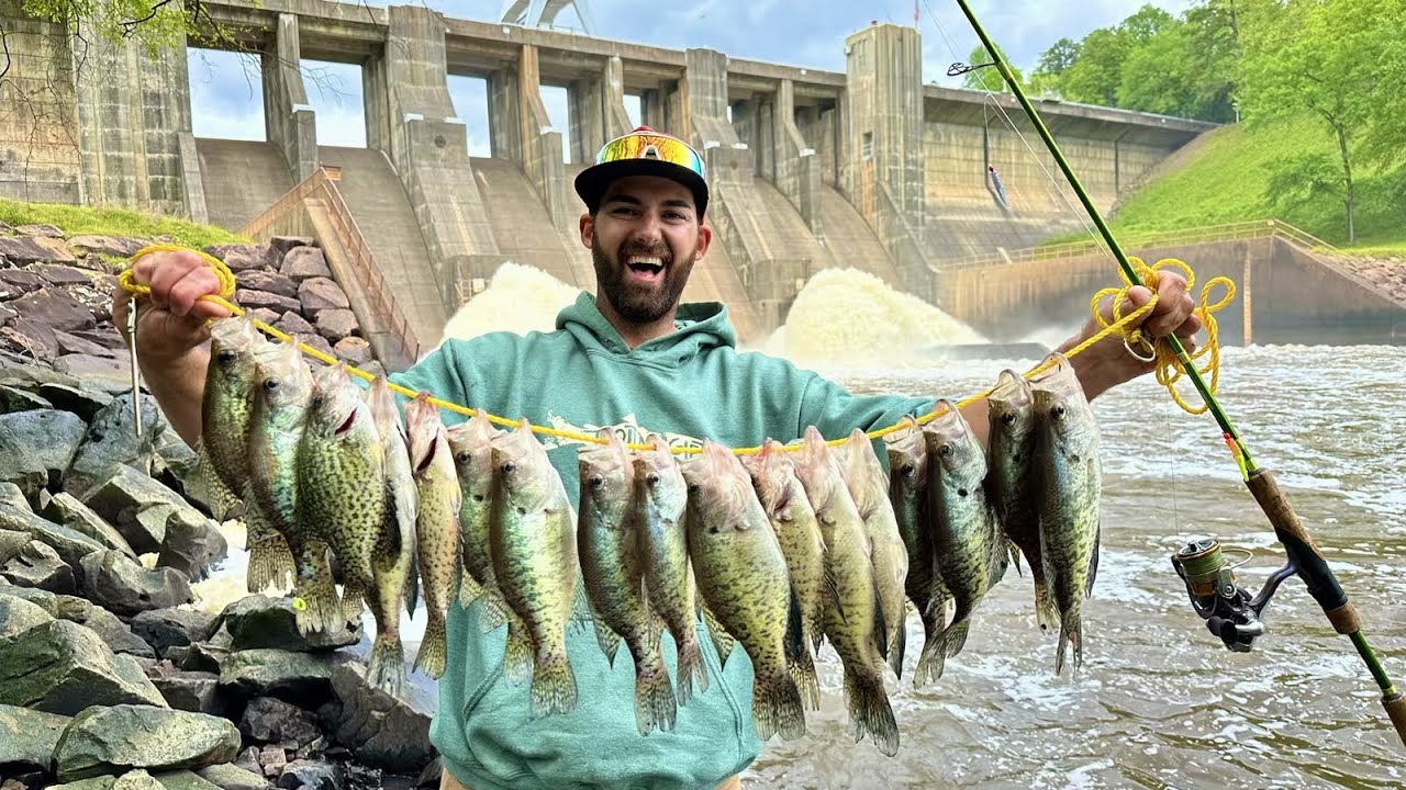 Shocked by number of fish under giant spillway