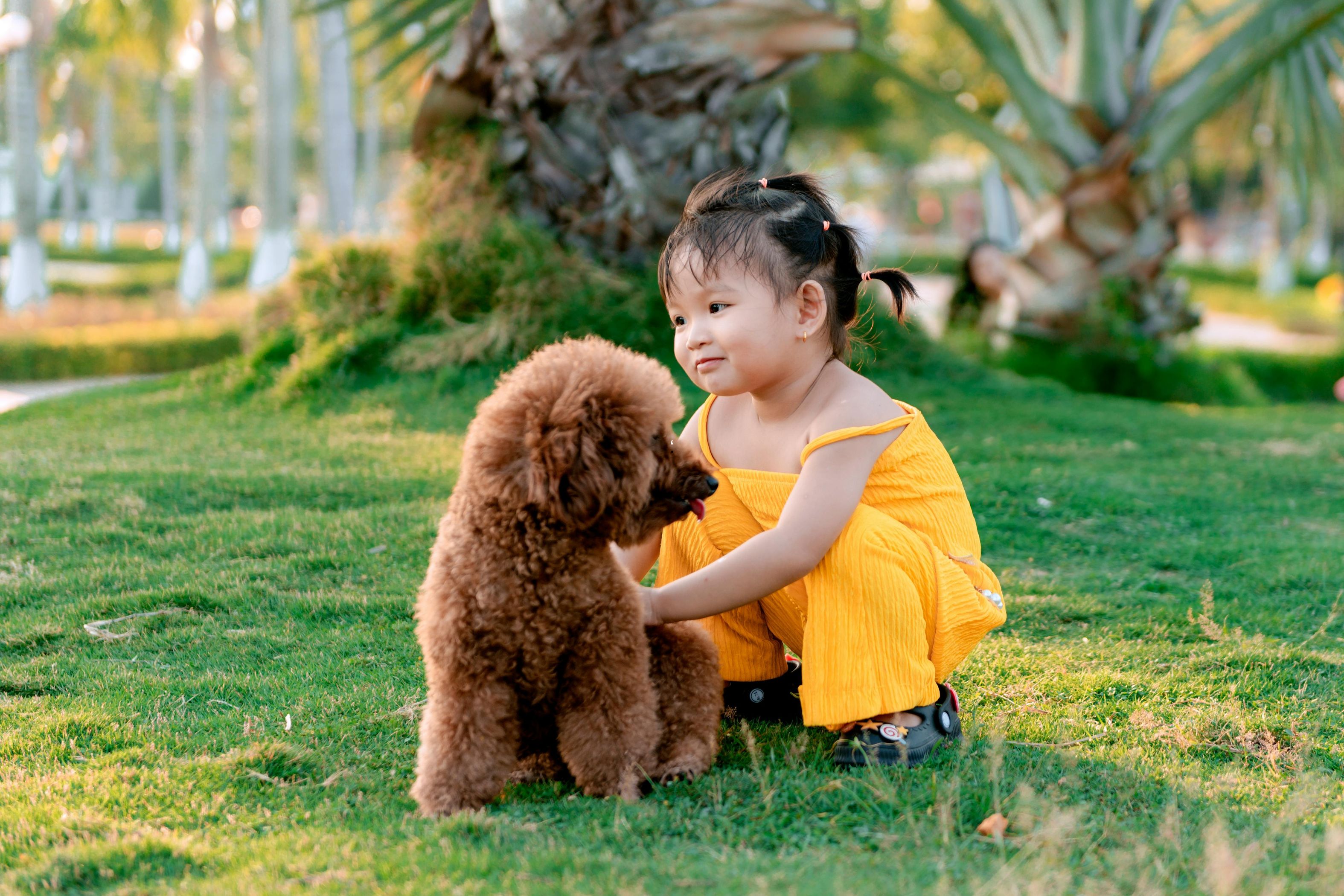 Child Friendly Dogs 2025: These are 17 of the best breeds of adorable ...