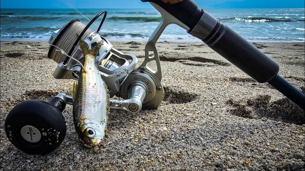 Fishing LIVE BAIT on Florida Beach - Trying to Catch Dinner