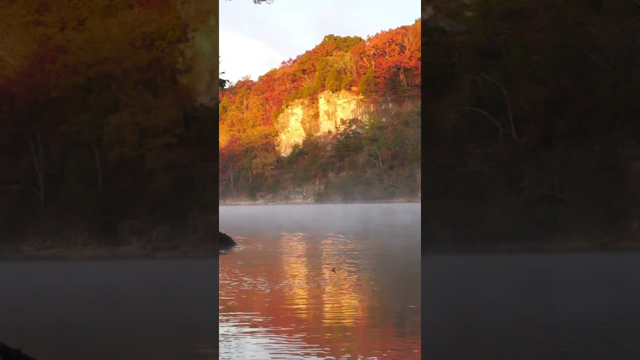 Would You Brave This Wild Boat Ride Adventure?