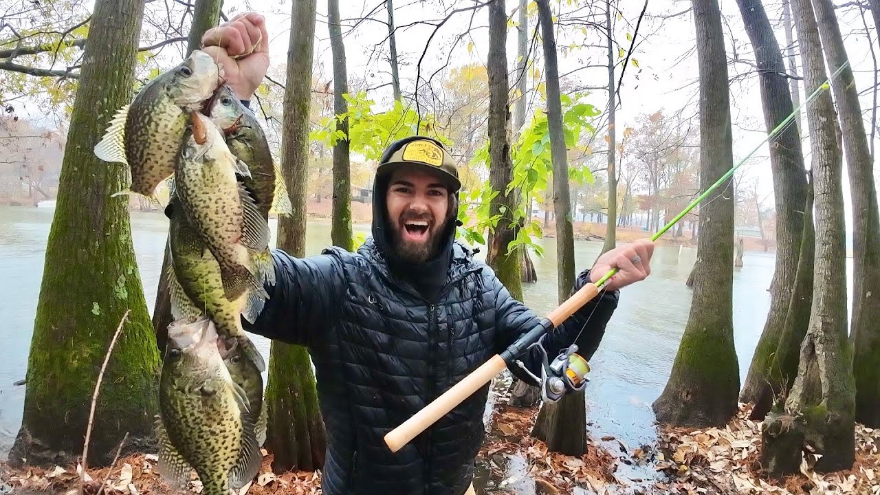 Slabs went mega-loaded on trees while bank fishing insane