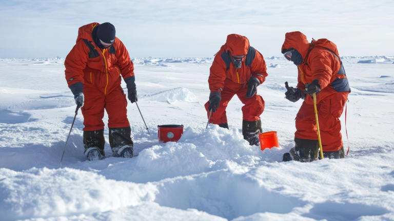 Earth slowly shifting toward its next ice age, scientists say