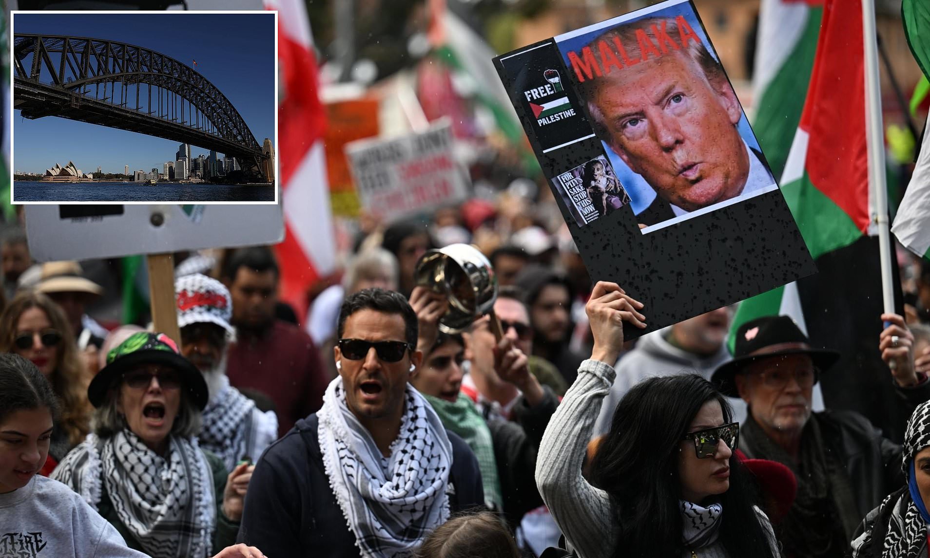 Major update in Sydney Harbour Bridge protest as police reveal why they ...