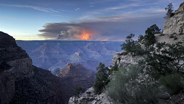 Grand Canyon Wildfire Explodes Into A 'Megafire' And It's Still Growing