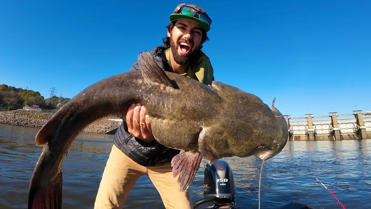 Finally landed the monster catfish of the year