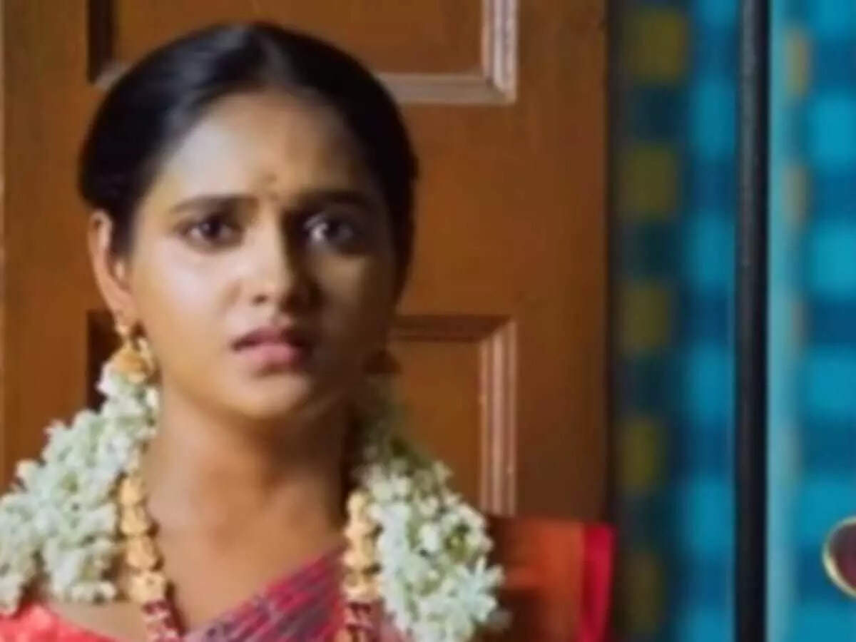 Chinna Marumagal: Everything about the family drama starring Navin ...