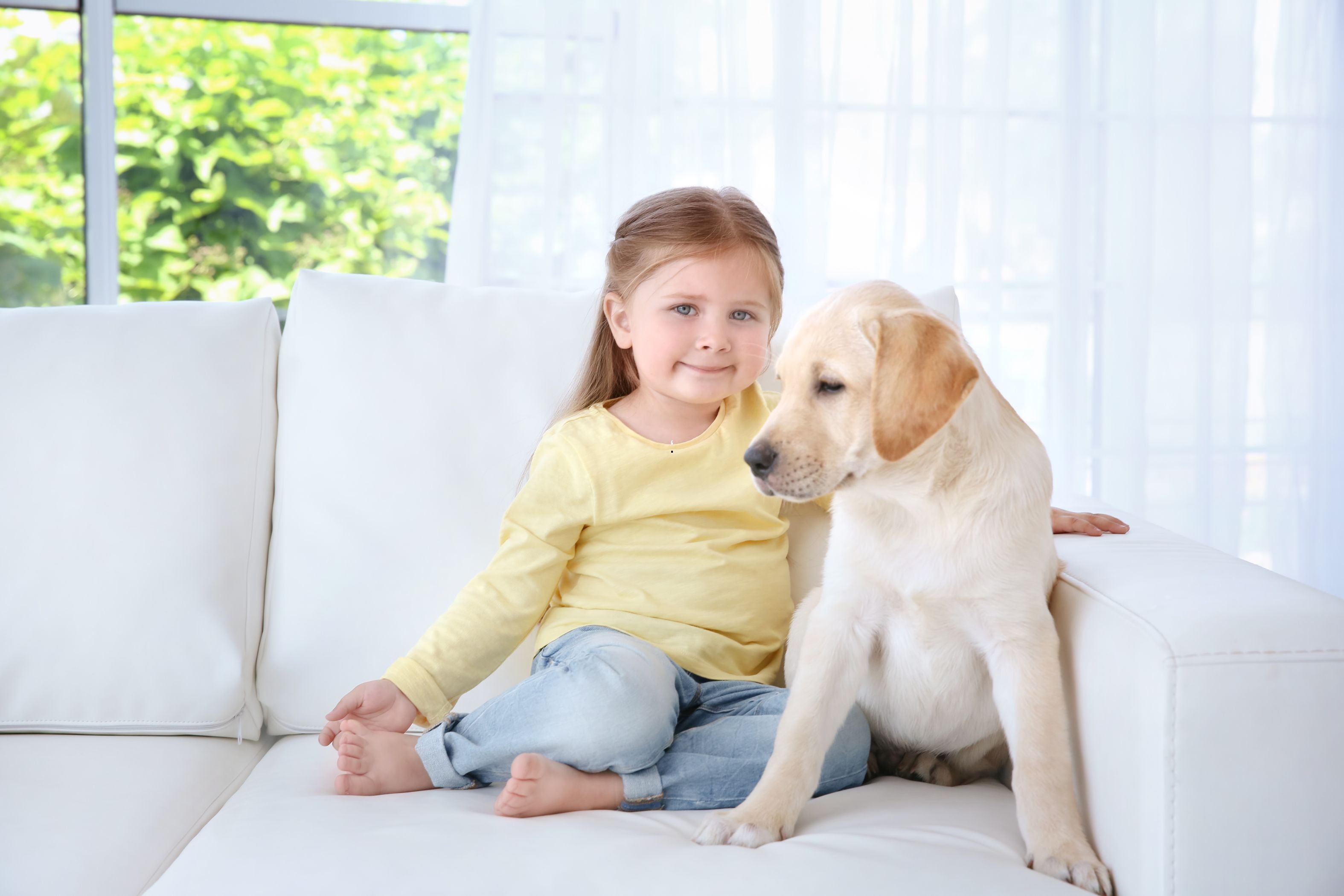 Child Friendly Dogs 2025: These are 17 of the best breeds of adorable ...