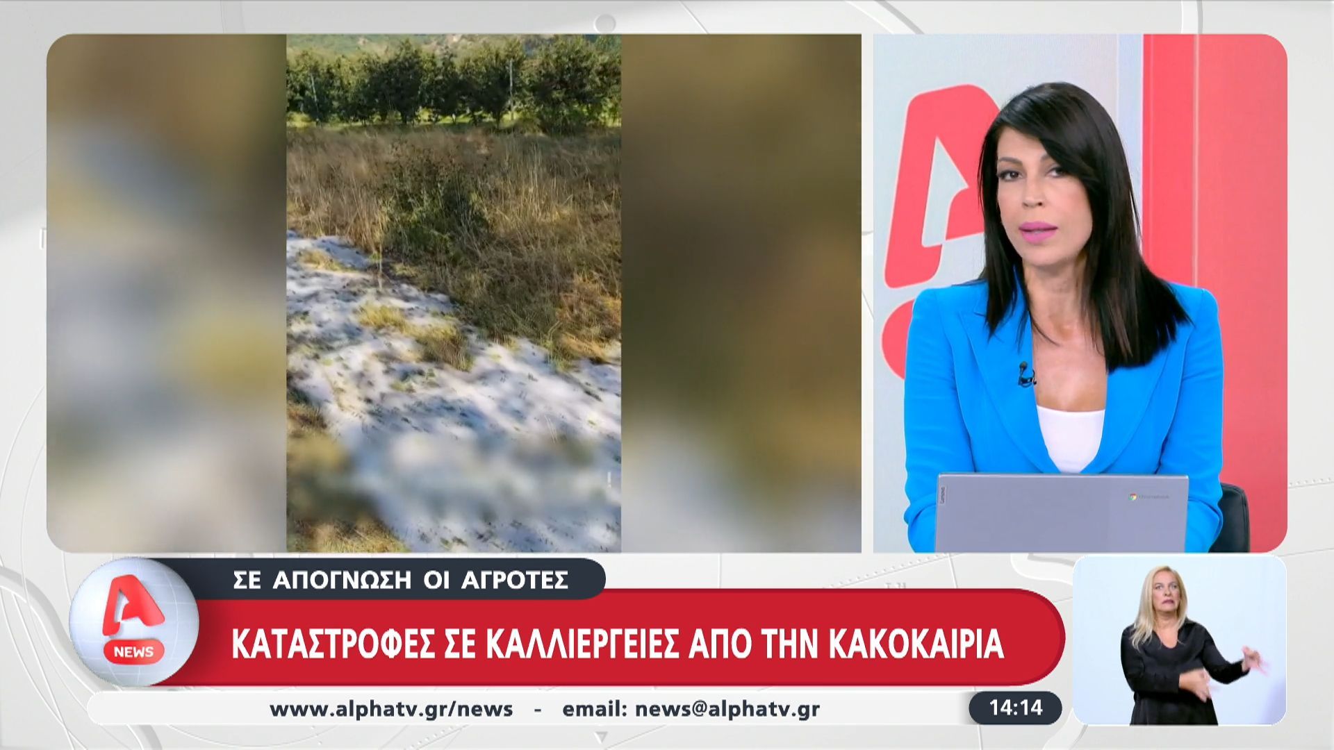 Καταστροφές από την κακοκαιρία στις καλλιέργειες