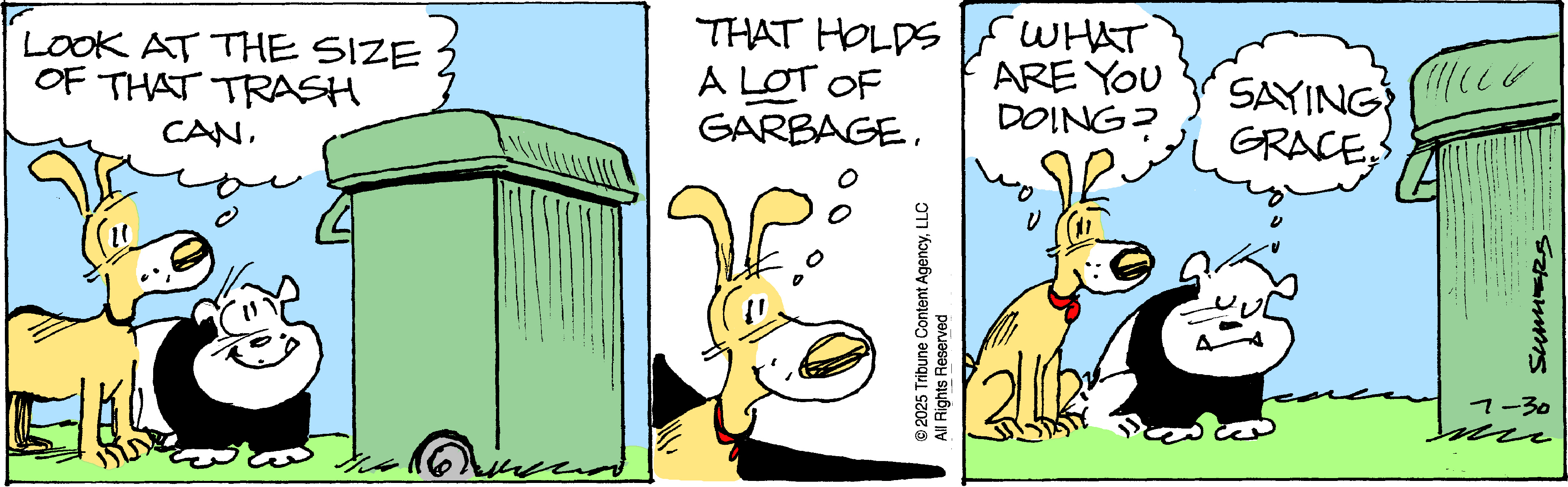 The Middletons by Dana Summers