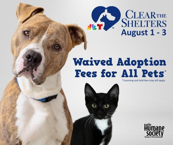Tacoma Humane waives adoption fees this weekend for nationwide ‘Clear ...