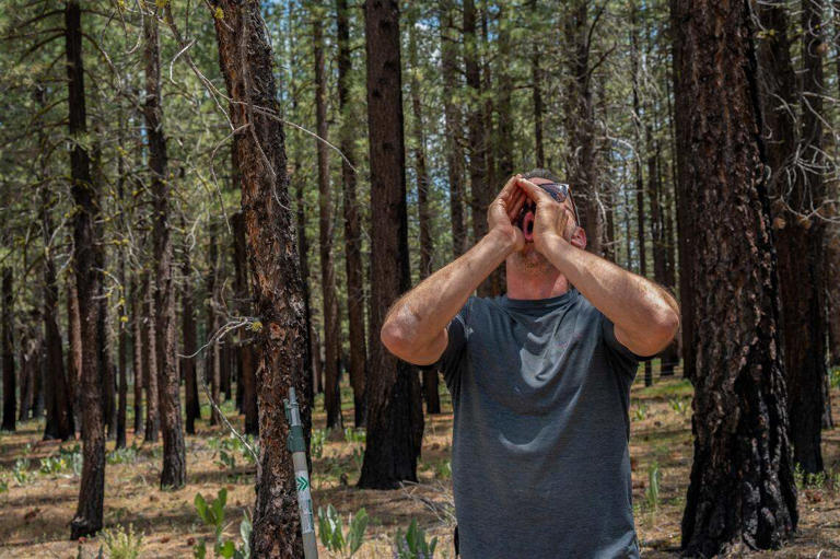 Can California protect wolves along with people and livestock?