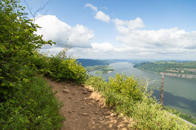 Hiking Angel’s Rest Trail: Killer Gorge Views (Oregon)