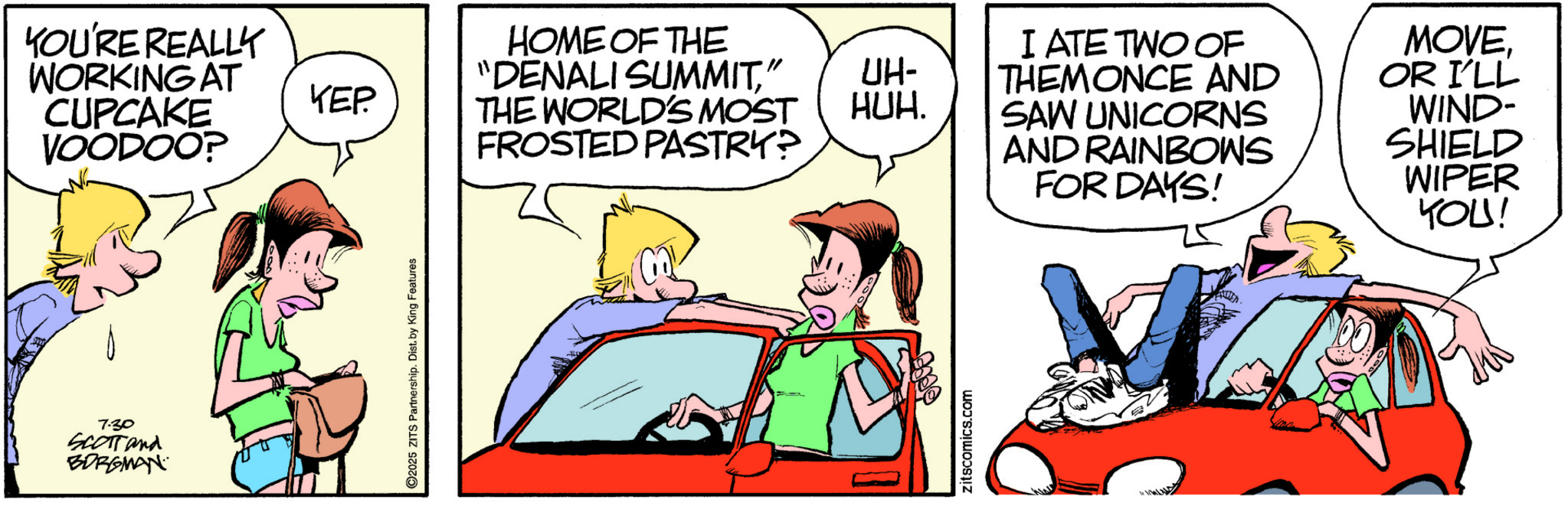 Zits by Jerry Scott and Jim Borgman