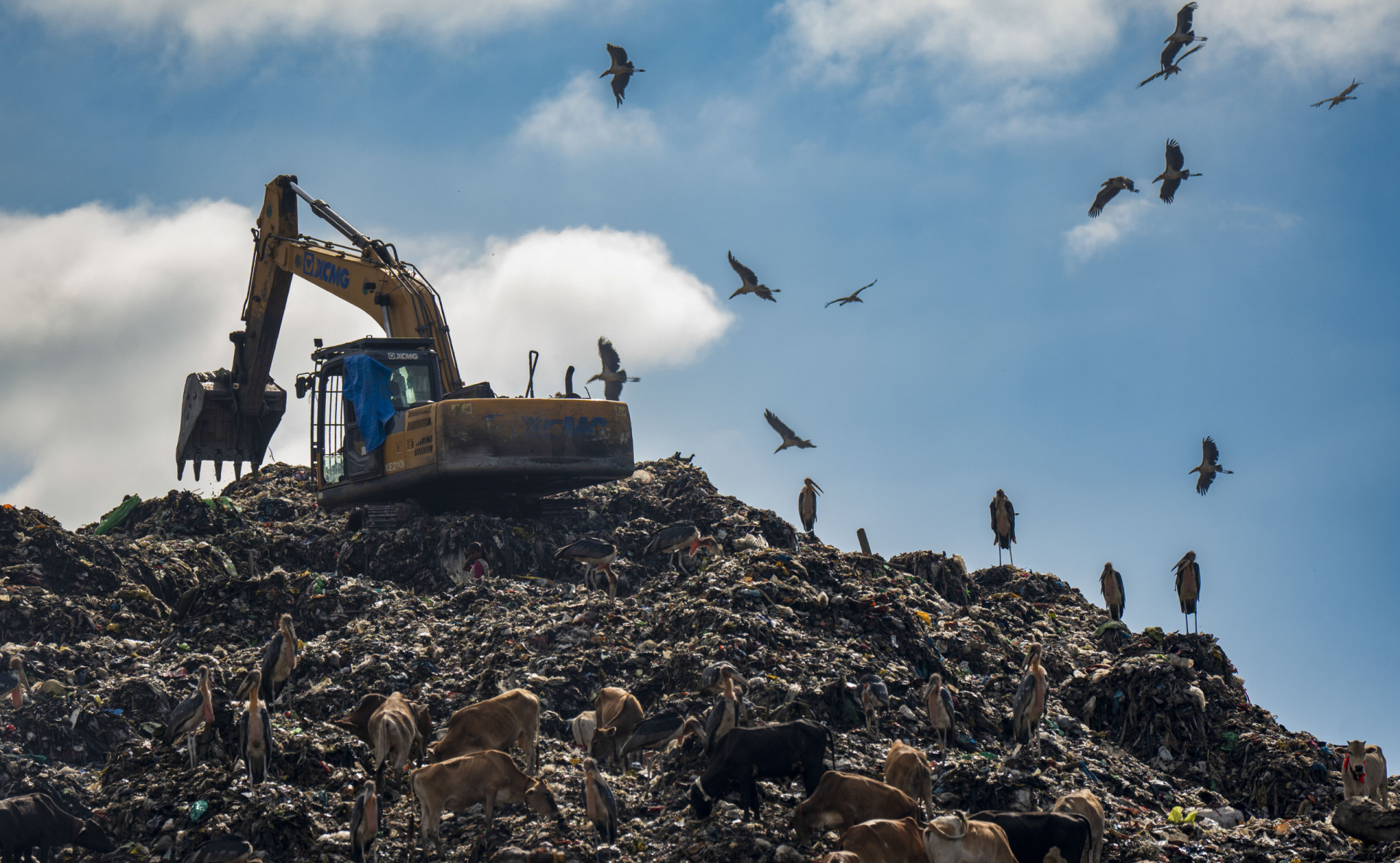 Waste colonialism: countries used as dumping grounds