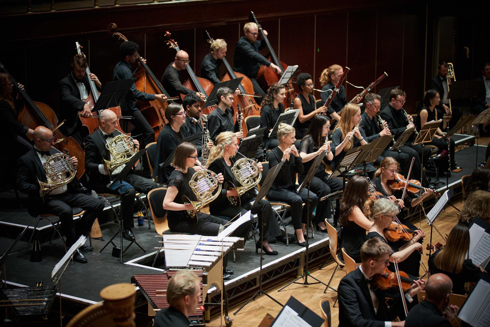 Brigantes Orchestra returns with biggest season and a global theme