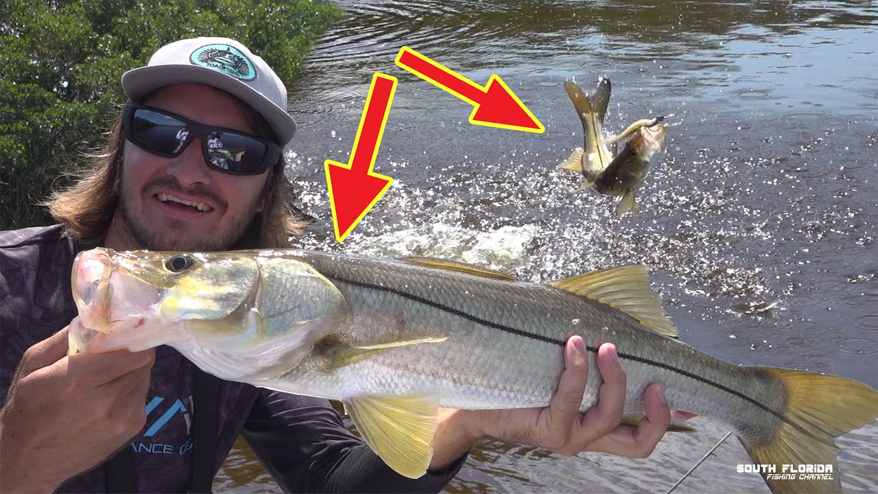 Snook Fishing Madness – 20+ Snook in a Brand New Custom Gheenoe!