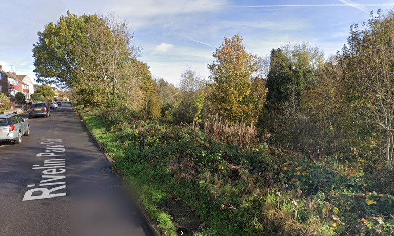 Sheffield trees: 'Brutal' land clearance near Rivelin Valley Park ...