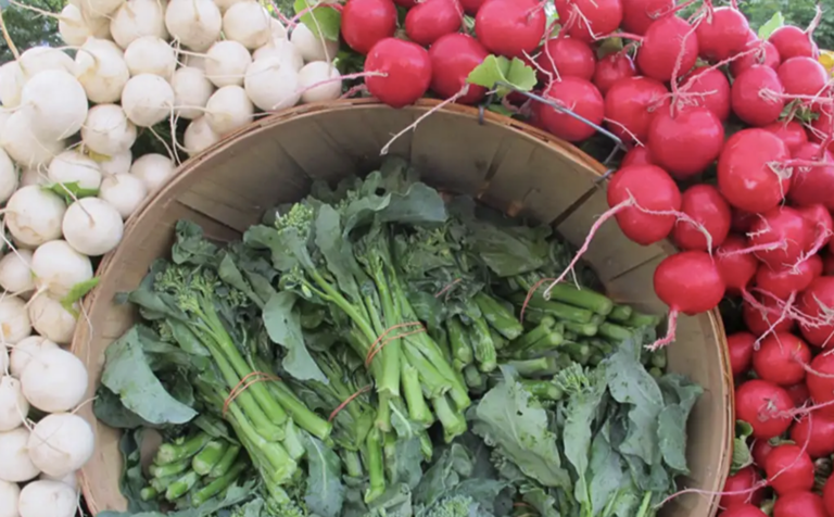 You're Invited: Braintree Farmers Market Returns in August