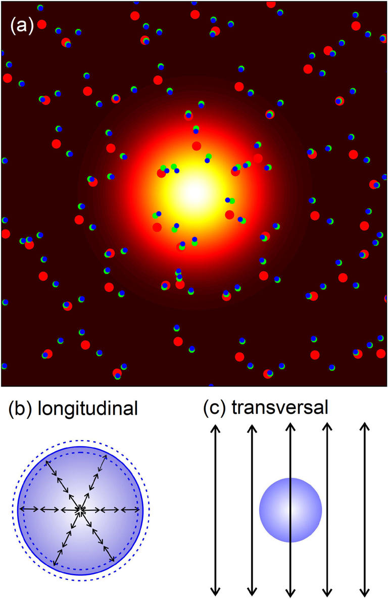 Ten thousand molecules in time: Generation and control of collective ...