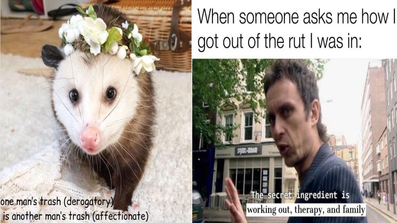 16 Wholesome Memes For Some Positivity And Humor