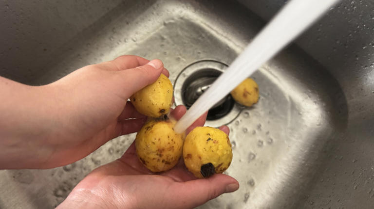 How To Eat Guava The Correct Way (Peel And All)